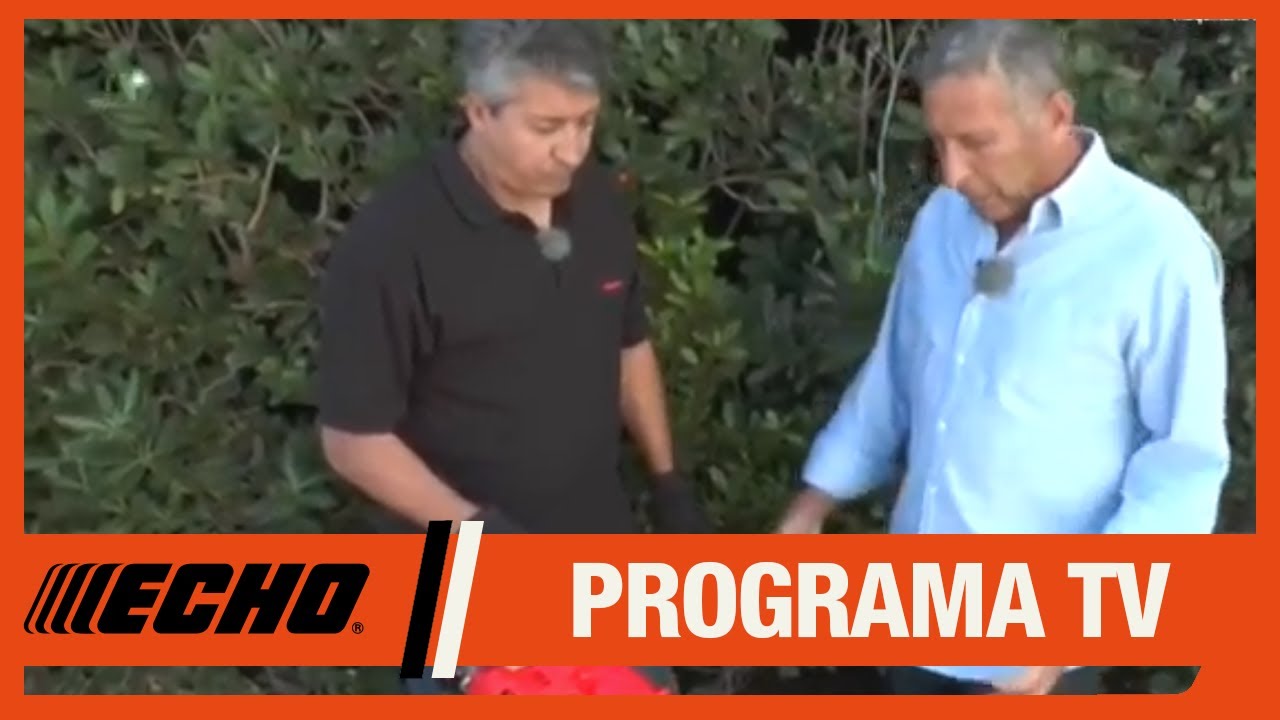 Aprende a recolectar la pinaza de forma efectiva | Actualizado julio 2023